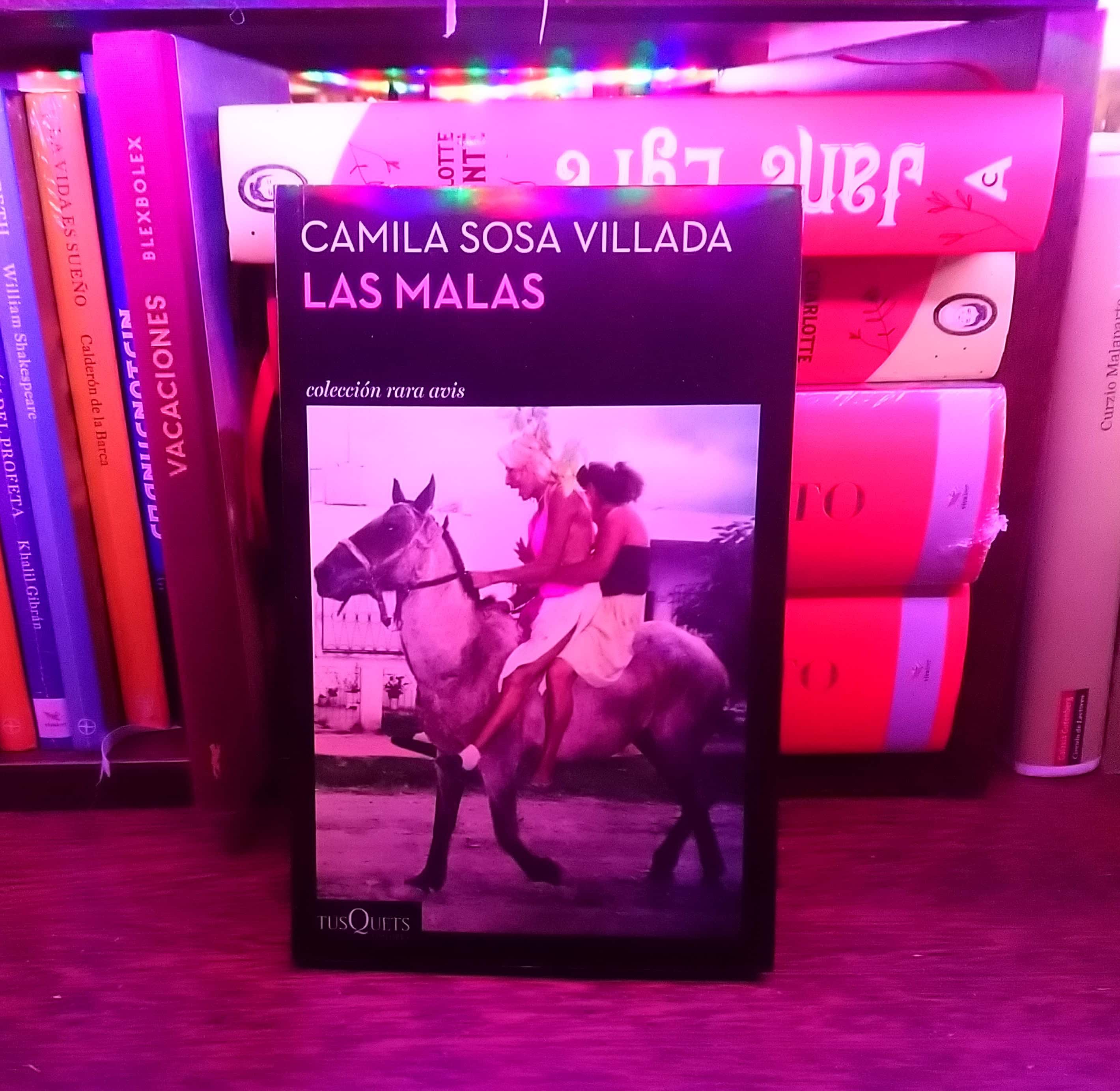Las malas: reseña literaria - Mujeres Que Leen